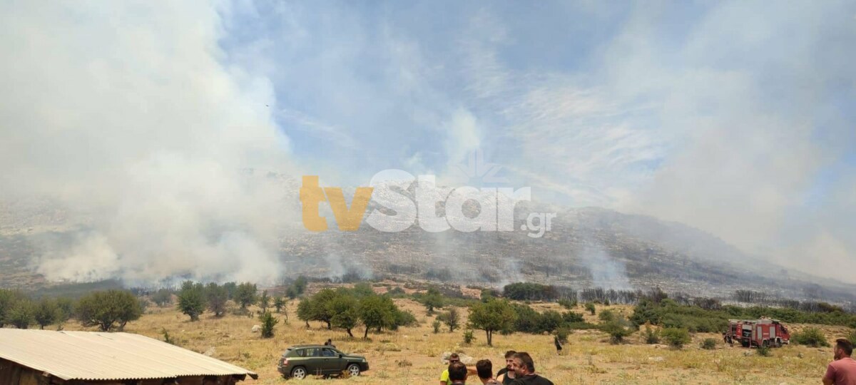 Φωτιά σε δύσβατο σημείο στην Ελάτεια Φθιώτιδας - The Opinion