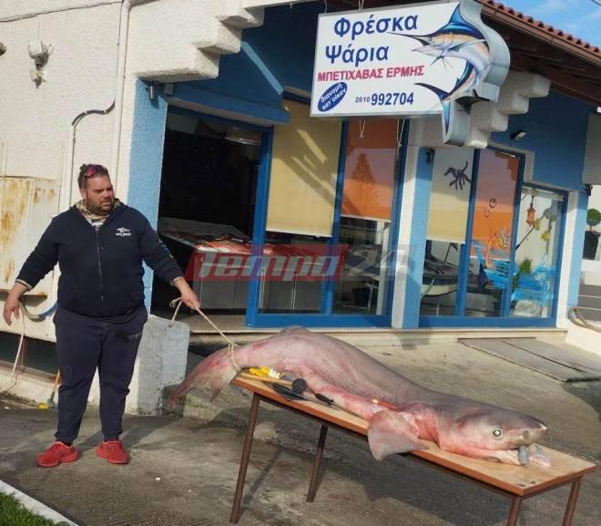 Πήγαν για ψάρεμα και γύρισαν με καρχαρία 3 μέτρων (VIDEO) - The Opinion