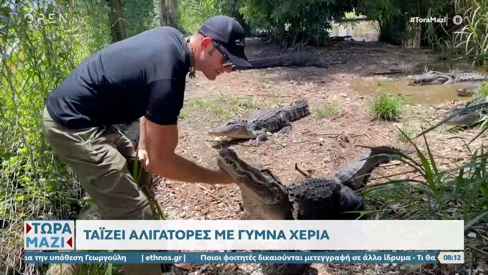 Φωνάζει τους αλιγάτορες με τα ονόματα τους και τους ταΐζει στο στόμα ...