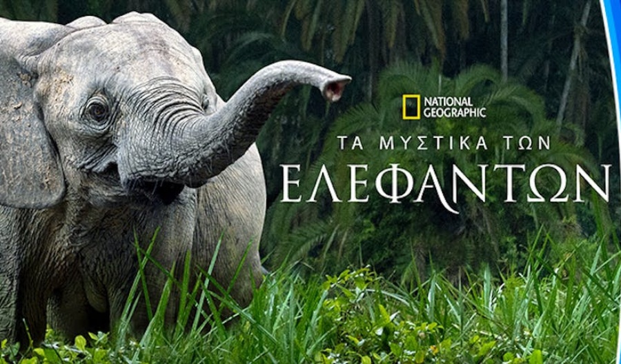 Το Disney+ γιορτάζει την Ημέρα της Γης με Τα Μυστικά των Ελεφάντων ...