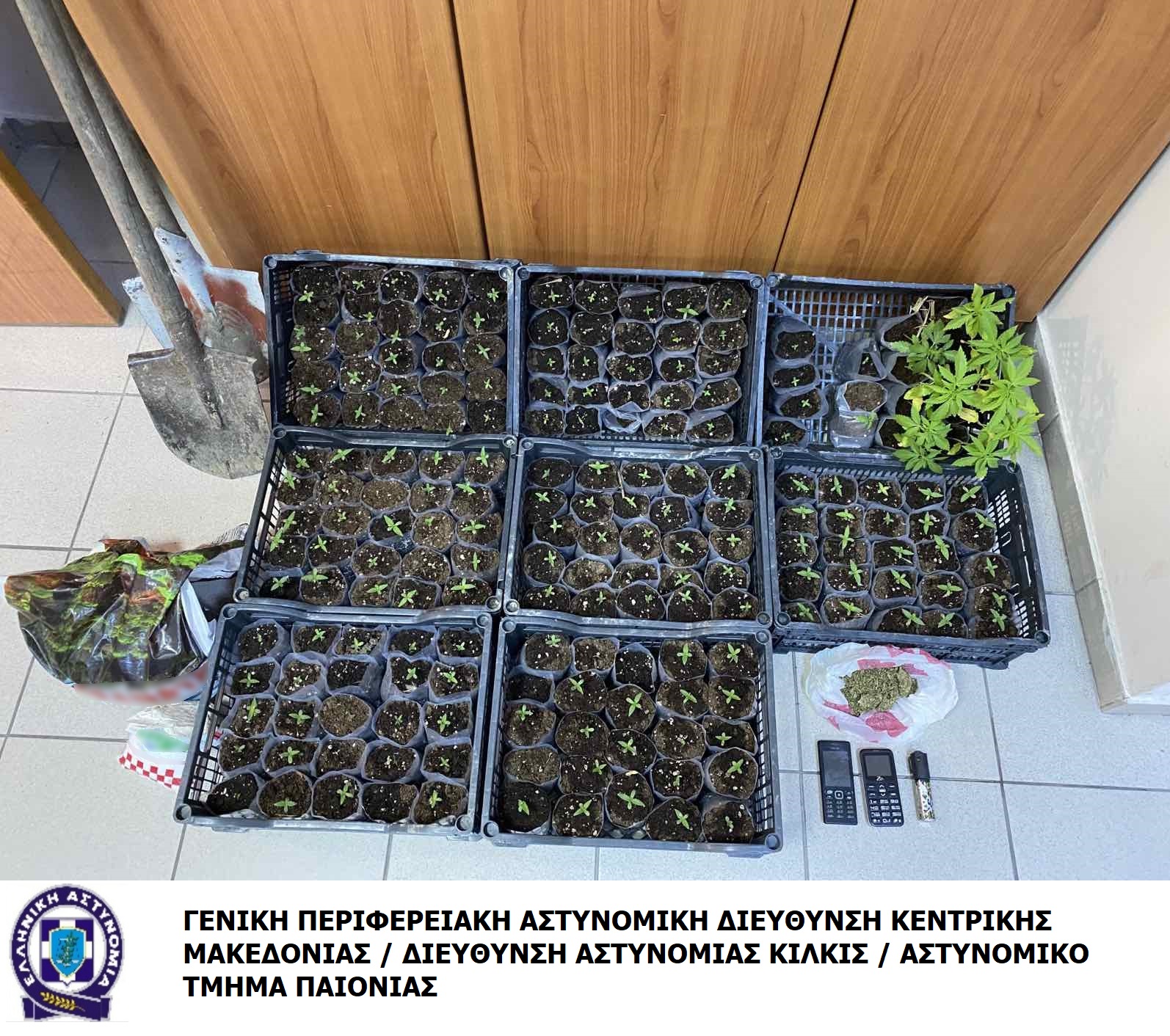 Φυτώριο κάνναβης είχαν δύο άνδρες σε αγροτική περιοχή της Ημαθίας ...