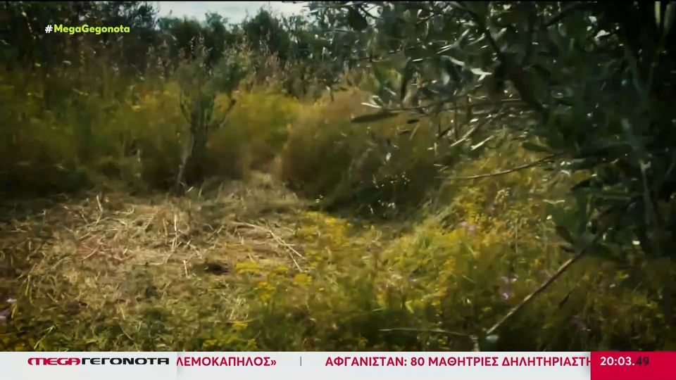 Καβάλα: Όλα τα ενδεχόμενα ανοιχτά για τον θάνατο της 68χρονης ...