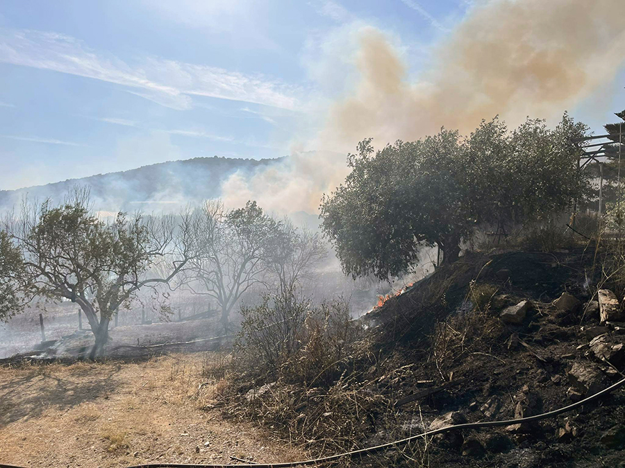 Πυρκαγιά στη Χαλκιδική - Κινητοποίηση της πυροσβεστικής (ΦΩΤΟ) - The ...