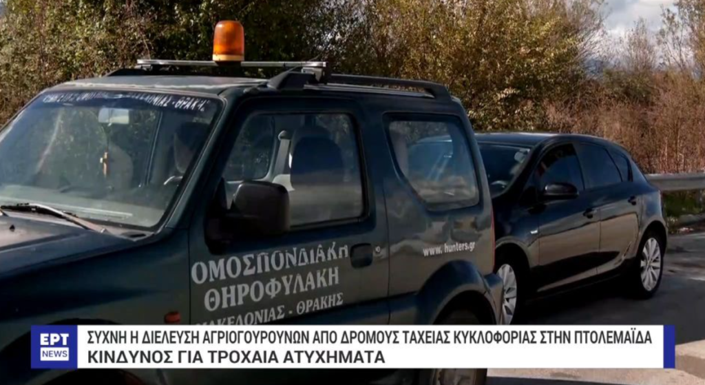 Αγέλες με αγριογούρουνα σε δρόμο ταχείας κυκλοφορίας (VIDEO) - The Opinion