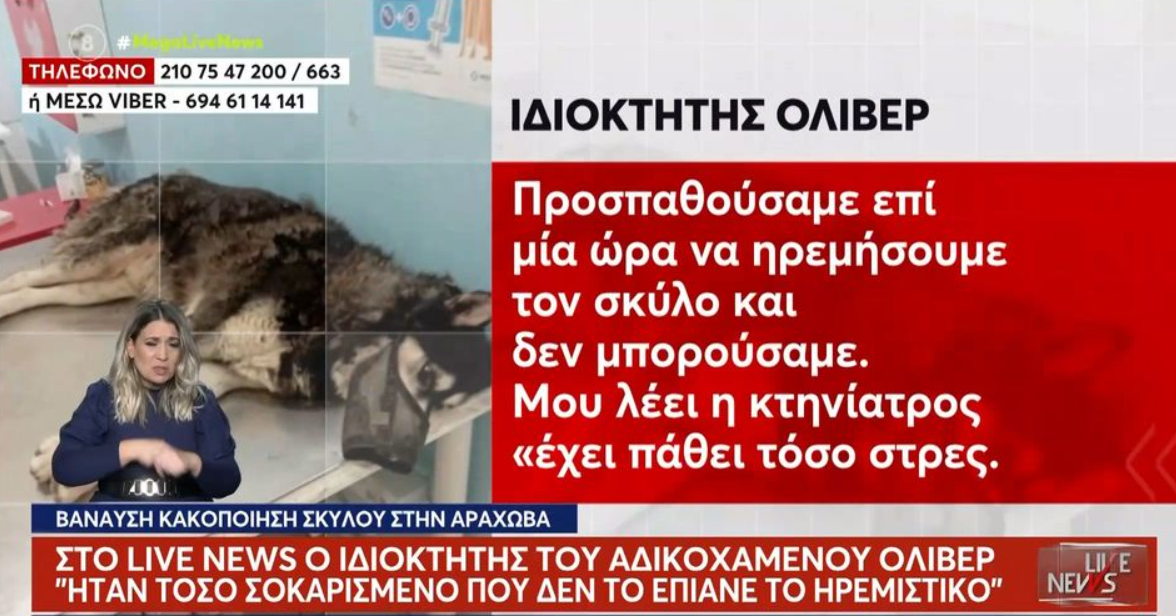 «Ήταν ημιλιπόθυμος και αιμορραγούσε» - Συγκλονίζει ο ιδιοκτήτης του ...